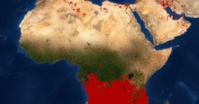More Fires Now Burning In Congo, Angola Than Amazon
